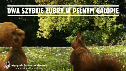 Reklama-zubr GIFs - Get the best GIF on GIPHY