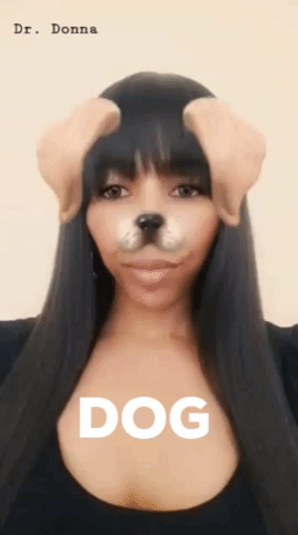 Dog Filters GIFs - Get the best GIF on GIPHY