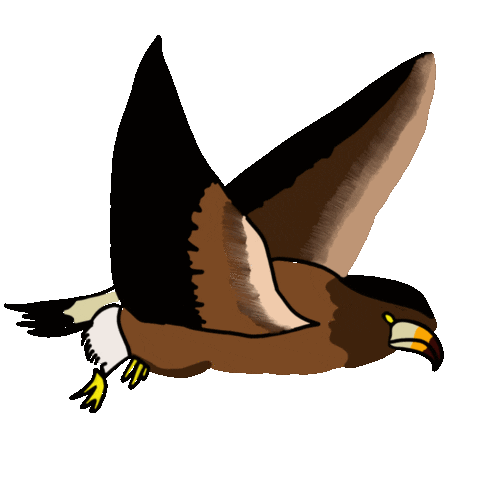 Eagle Transparent Gif