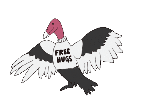 Vultures Gif