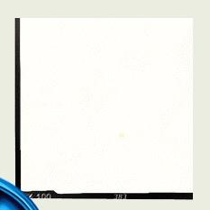 To Empower GIFs - Get the best GIF on GIPHY