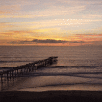 Good-thoughts GIFs - Get the best GIF on GIPHY