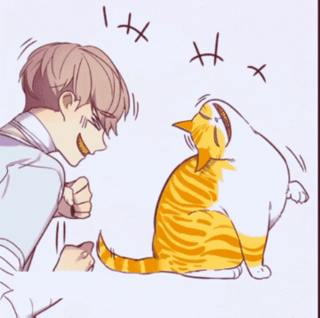 Cats GIF - Find & Share on GIPHY