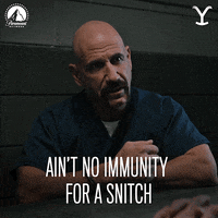 Snitches Gif