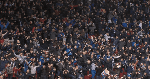 Rangersfc GIF by Rangers Football Club - Find & Share on GIPHY