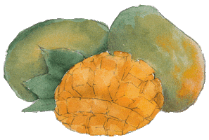 Aoo& GIFs on GIPHY - Be Animated