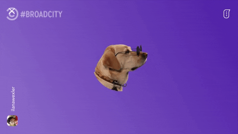 Dog-with-sunglasses GIFs - Get the best GIF on GIPHY