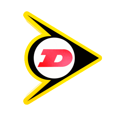 Car Racing Sticker by Dunlop Germany for iOS & Android | GIPHY