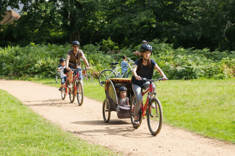 Active Transport Gif