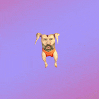 Chicken Pole Dance Gif