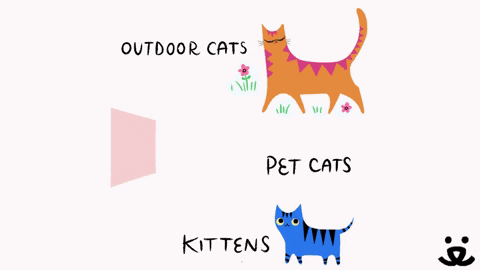 Community Cat Day by Best Friends Animal Society | GIPHY