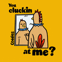 BEGOK is now FEBUK | Kentucky Wildcats fan forums - CatsIllustrated