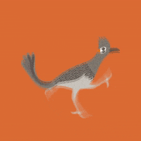 Road Runner Running Gif
