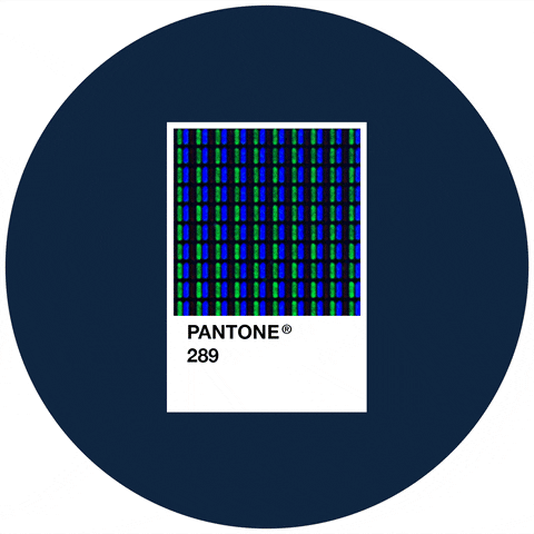 Small Scale GIFs - Get the best GIF on GIPHY