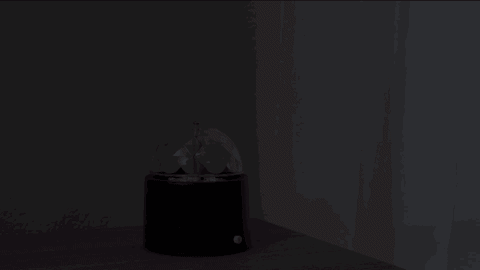 How To Organization GIF by The Container Store - Find & Share on GIPHY