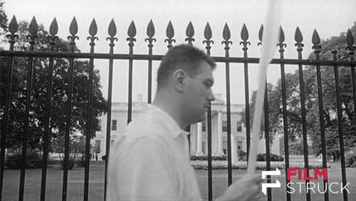 Picketing Classic Film GIF by FilmStruck - Find & Share on GIPHY