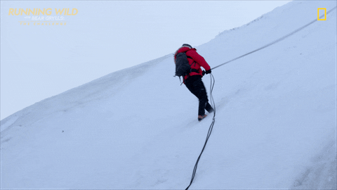 Falling Over Nat Geo GIF by National Geographic Channel - Find & Share ...