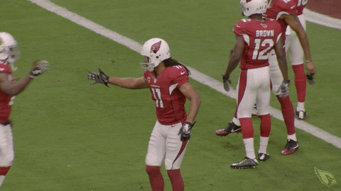 Larry Fitzgerald Football GIF by azcardinals - Find & Share on GIPHY