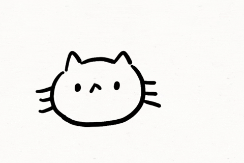 Cat GIF - Find & Share on GIPHY