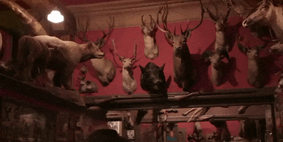 Colorado GIFs - Find & Share on GIPHY