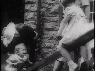 Royal-dutch-family GIFs - Get the best GIF on GIPHY