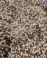 Yum Crumbs GIFs on GIPHY - Be Animated