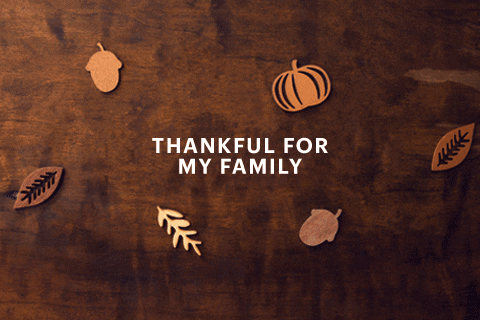 Fall Love GIF - Find & Share on GIPHY