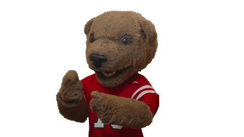 Cornell University Touchdown Sticker for iOS & Android | GIPHY