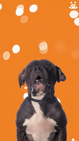 Save-jobs GIFs - Get the best GIF on GIPHY