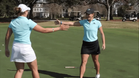 Golf Wave GIF by GreenWave - Find & Share on GIPHY
