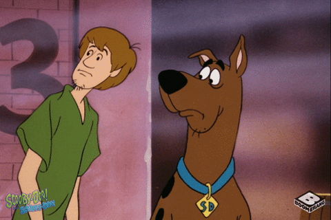 Scooby Doo What GIF by Boomerang Official - Find & Share on GIPHY