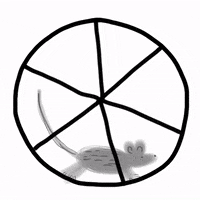 Gif De Ratón Corriendo Con Rueda Freefish Rueda De Hámster, Rueda De