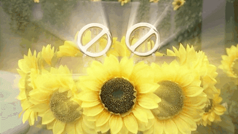 Power Of Veto GIFs - Get the best GIF on GIPHY