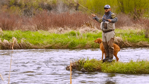 Deschutes River Fly Fishing GIF by Travel Oregon - Find & Share on GIPHY
