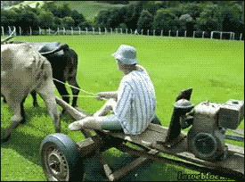Lawnmowers GIFs - Get the best GIF on GIPHY