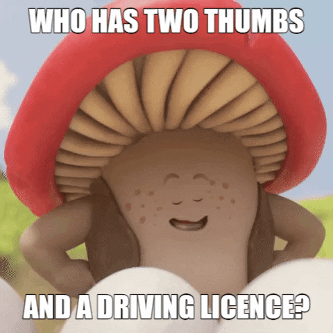 Licence GIFs - Get the best GIF on GIPHY