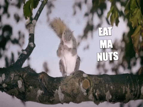 Eat Ma Nuts GIFs - Get the best GIF on GIPHY