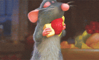 Remy Ratatouille GIFs - Find & Share on GIPHY