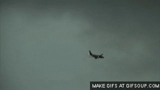 Eclair Fifi GIFs - Find & Share on GIPHY