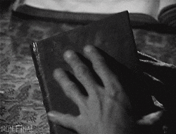 Kittys-favorite-book GIFs - Get the best GIF on GIPHY