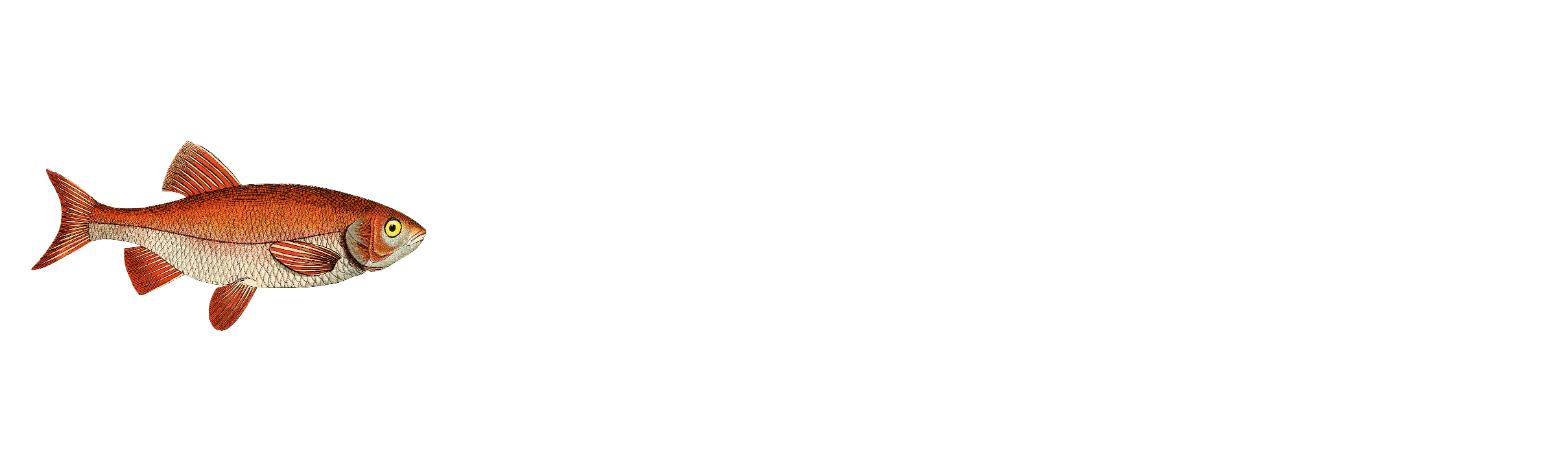 Water Fish Sticker by Adriana Barra for iOS & Android | GIPHY