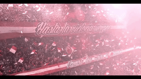 Ultras Coyr GIF by Standard de Liège - Find & Share on GIPHY
