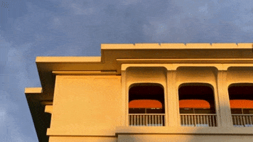 Virtual Backgrounds for Video Conferencing (Zoom) GIFs on GIPHY - Be ...