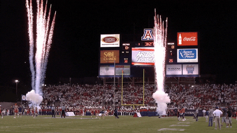 Arizonaalumni GIFs - Get the best GIF on GIPHY