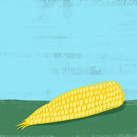 Mieliepop GIFs - Get the best GIF on GIPHY