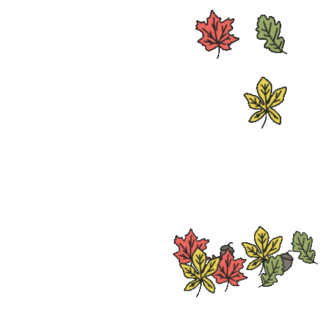 Fall Leaves Transparent Gif