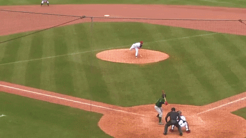Baseball Defense GIF by Lansing Lugnuts - Find & Share on GIPHY