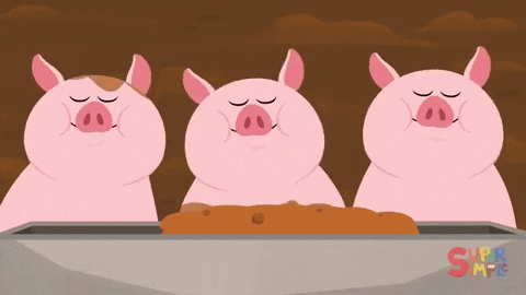 Year-of-pig GIFs - Get the best GIF on GIPHY