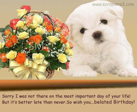 This Is So Late Sorry GIFs - Get the best GIF on GIPHY