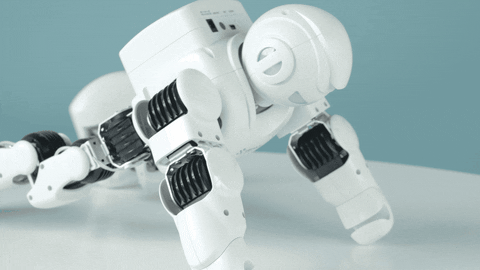 One Arm Push Up GIFs - Get the best GIF on GIPHY